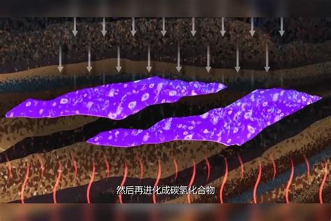 地下的石油是怎么形成的3D动画演示全过程解开了多年疑惑