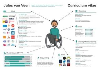 Cv Jules Van Veen 2017 Feb PPT