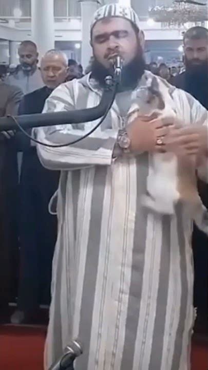 القطة والامام Youtube