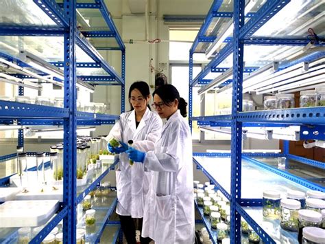 广西农科院——广西亚热带作物研究所