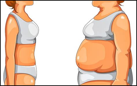 Toki Өөх тос нэмэгдэж байгаа гол шалтгаанууд ️ Эрүүл бус хооллолт нь хэвлийн өөхний гол