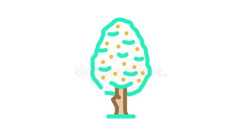 Tree Pear Color Icon Animation Stock Footage Video Of Fruit Orchard