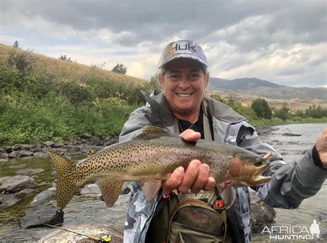 Montana Usa Fly Fishing Rainbow Trout