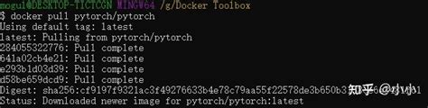 Docker Toolbox安装 知乎
