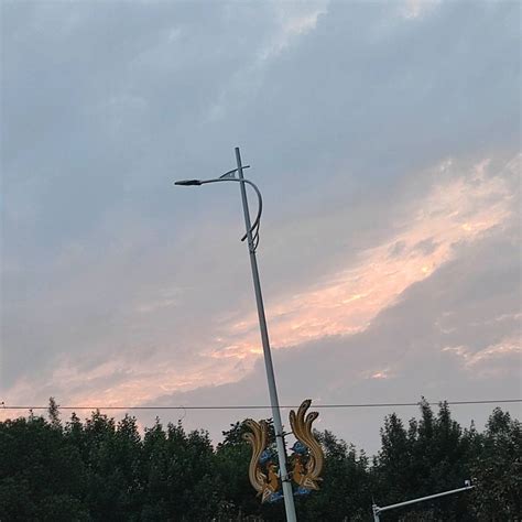 半导体器件物理与工艺第三版施敏 李明逵课后习题答案解析 参考 课程 电子