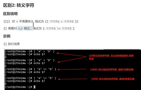 Shell 脚本入门：从零开始写自动化脚本shell脚本 Csdn博客