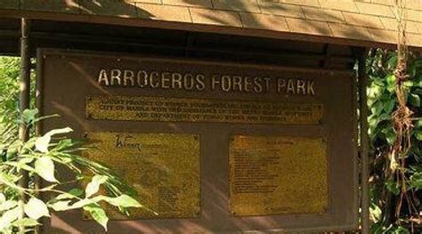 Arroceros Forest Park Manila Filipina Review Tripadvisor
