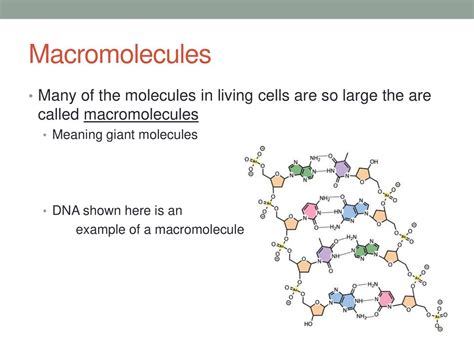 Organic Molecules Chapter Ppt Download