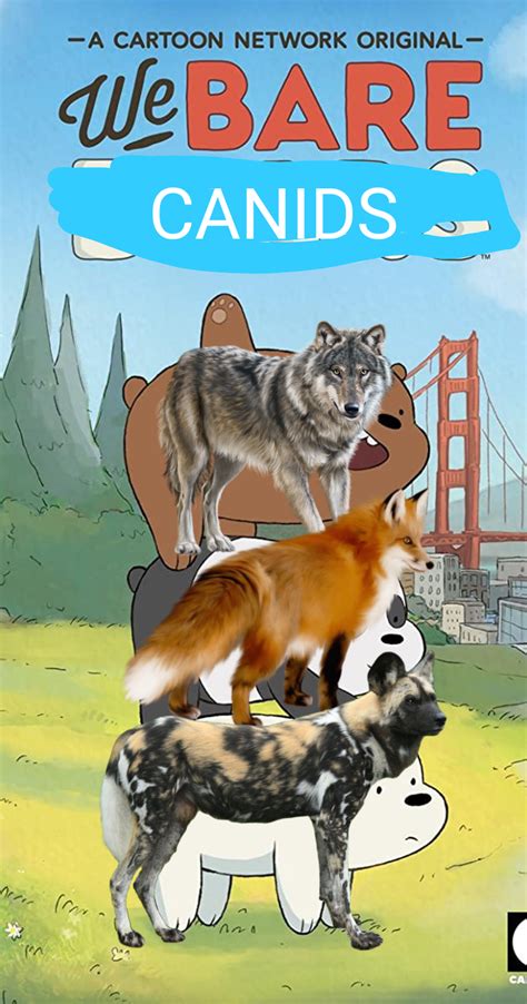We Bare Canids The Parody Wiki Fandom