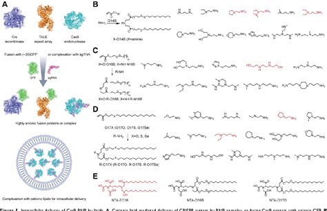 Figure 5 From Strategies In The Delivery Of Cas9 Ribonucleoprotein For