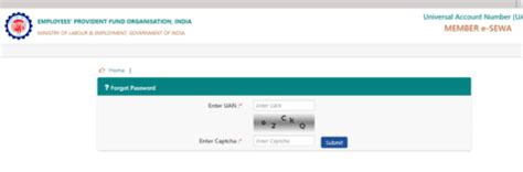 Online Steps For EPFO Password Reset In 2024