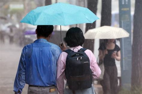 호우에 통제된 동부·북부간선도로 통행 재개장맛비는 이제 시작