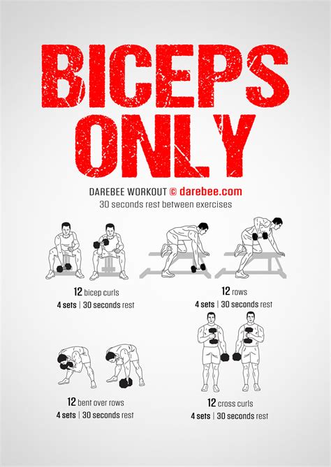 Biceps Only Workout