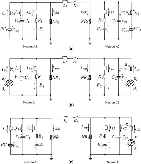 Schematic Diagram Of Induction Coil Coupled Neurons A Coupling Of Two Download Scientific