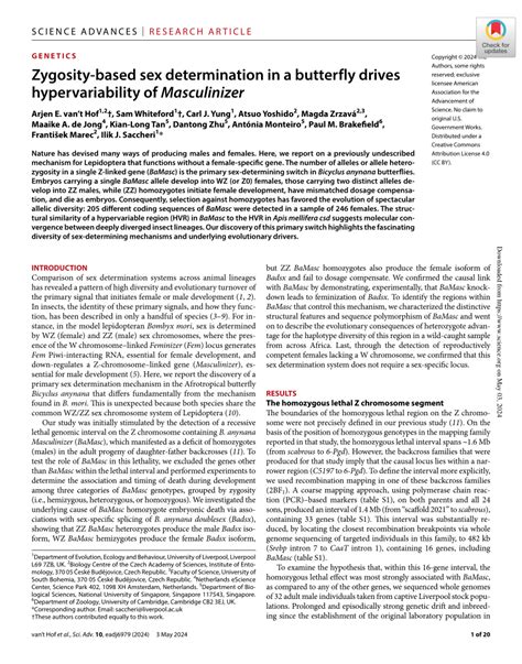 Pdf Zygosity Based Sex Determination In A Butterfly Drives