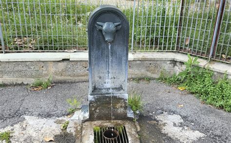 Il Simbolo Dellorgoglio Torinese Nasce Oltre 160 Anni Fa Il Toret La