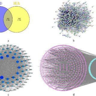 Network Pharmacology Analysis Results A Venn Diagram Showing The