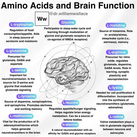 William Wallace Phd On Linkedin Cognitive Function Among Other
