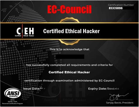 Best Ethical Hacking Training Online In 2025