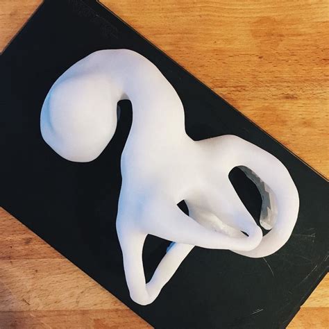 Understanding Vertigo By 3d Printing The Inner Ear The