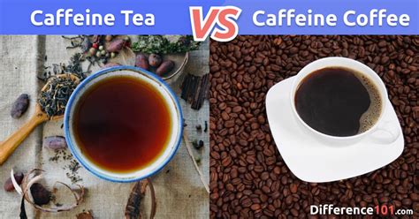 Difference Theine Caffeine Infofetish