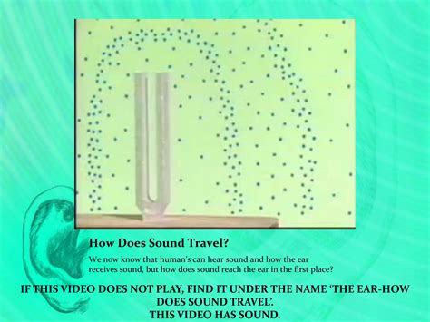 Sound Assignment The Ear Investigation Pptx