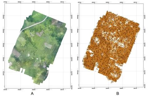 Jenis Data Sig Spasial Vektor Atribut Raster Topologi Citra