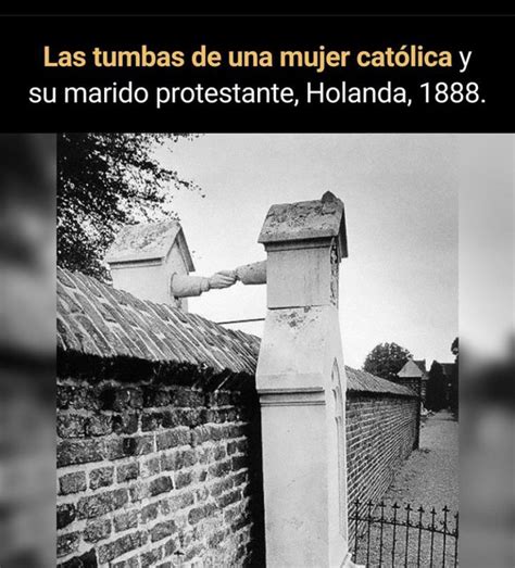 Pin By María Montero On ¡hemoso Funny Memes Memes Of The Day Funny