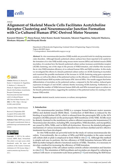 Pdf Alignment Of Skeletal Muscle Cells Facilitates Acetylcholine