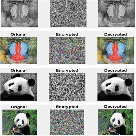 Histogram Analysis Of Original And Encrypted Gray Scale Lenna Image Download Scientific Diagram