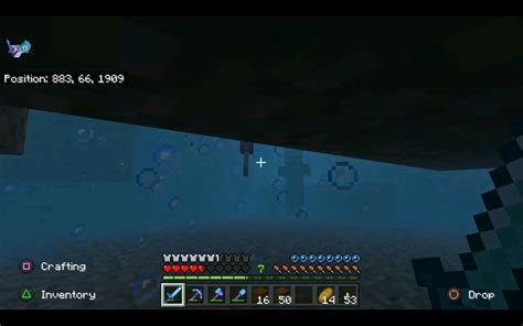I Think There Might Be A Phantom Bug In The Game Rminecraft