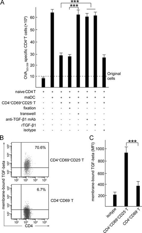 Cd69 Cd4 Cd25− T Cells A New Subset Of Regulatory T Cells Suppress T