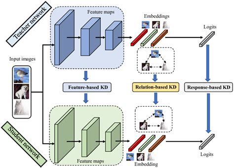 The Schematic Illustration Of Response Based Feature Based And
