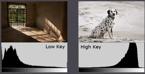 图像处理（七）：直方图图像处理直方图 Csdn博客