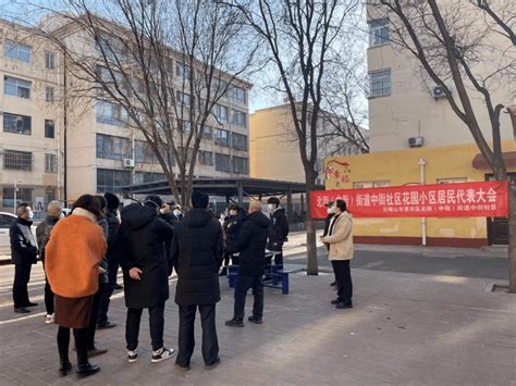 【大学习大讨论大宣传大实践】惠农区北街（中街）街道中街社区：“党建自治”治出美丽新形象小区协商治理