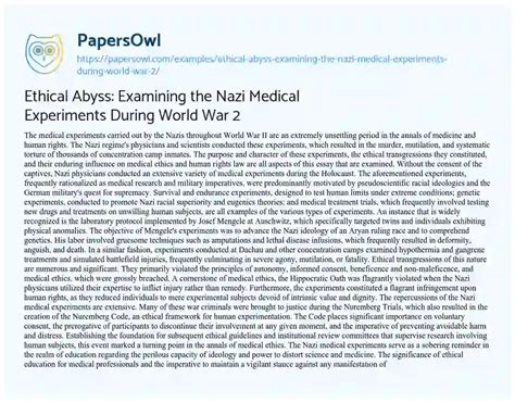 Ethical Abyss Examining The Nazi Medical Experiments During World War
