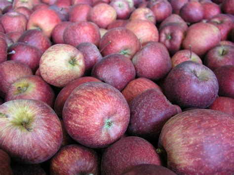 Apples Fruit Farming In South Africa