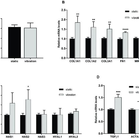 Effect Of Vibration On Cell Viability And Gene Expression After 48