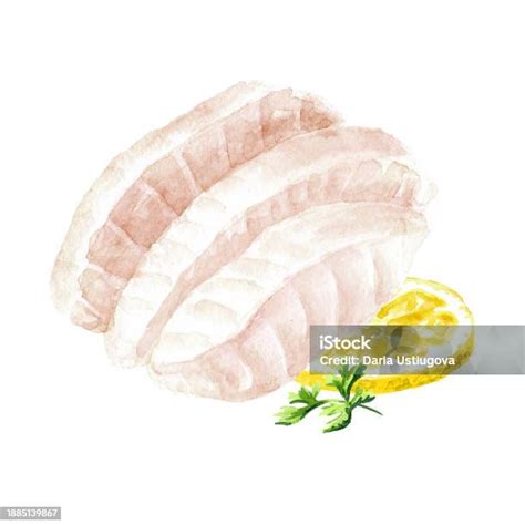 생선 대구 생 필레 손으로 그린 수채화 그림 흰색 배경에 고립 대구 바닷물고기에 대한 스톡 벡터 아트 및 기타 이미지 대구