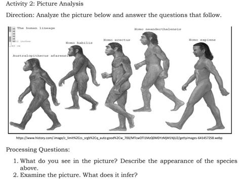 Picture Analysis Direction Analyze The Picture Below And Answer The