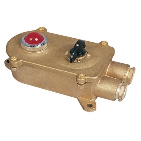 Hsd2 2 Marine Brass Switch With Indicator Light