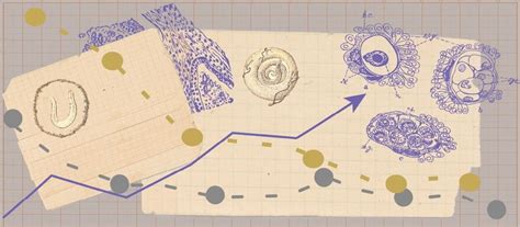 Fecal Antigen Testing Why Its Outperforming Fecal Flotation In