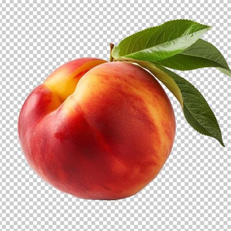Manzana Png Psd Archivo Psd Premium