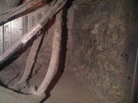 In Pictures Dirty PC Environments Page Tom S Hardware