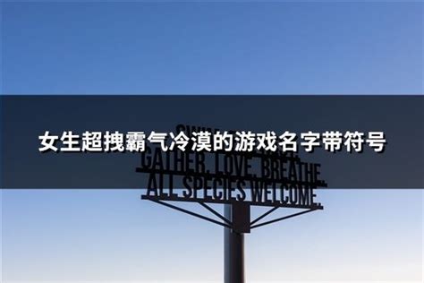 女生超拽霸气冷漠的游戏名字带符号 99个 淘名吧网