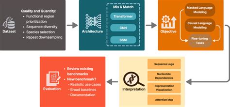 Genomic Language Models Opportunities And Challenges Pmc