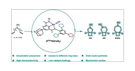 Iron Catalyzed Synthesis Of Conformationally Restricted Bicyclic N