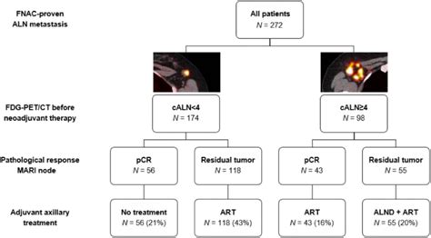 Tailored Adjuvant Axillary Treatment Strategy According To The Mari Download Scientific Diagram