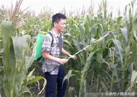 誰說明星成名後就不干農活了，大家看看他們的表現吧！ 每日頭條