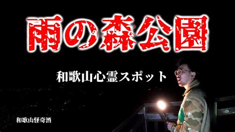 和歌山深夜の雨の森公園で怪奇酒心霊スポット海南市 夜景スポット YouTube